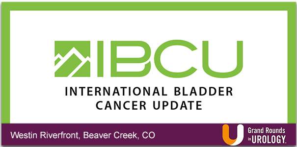 IBCU: 2nd International Bladder Cancer Update