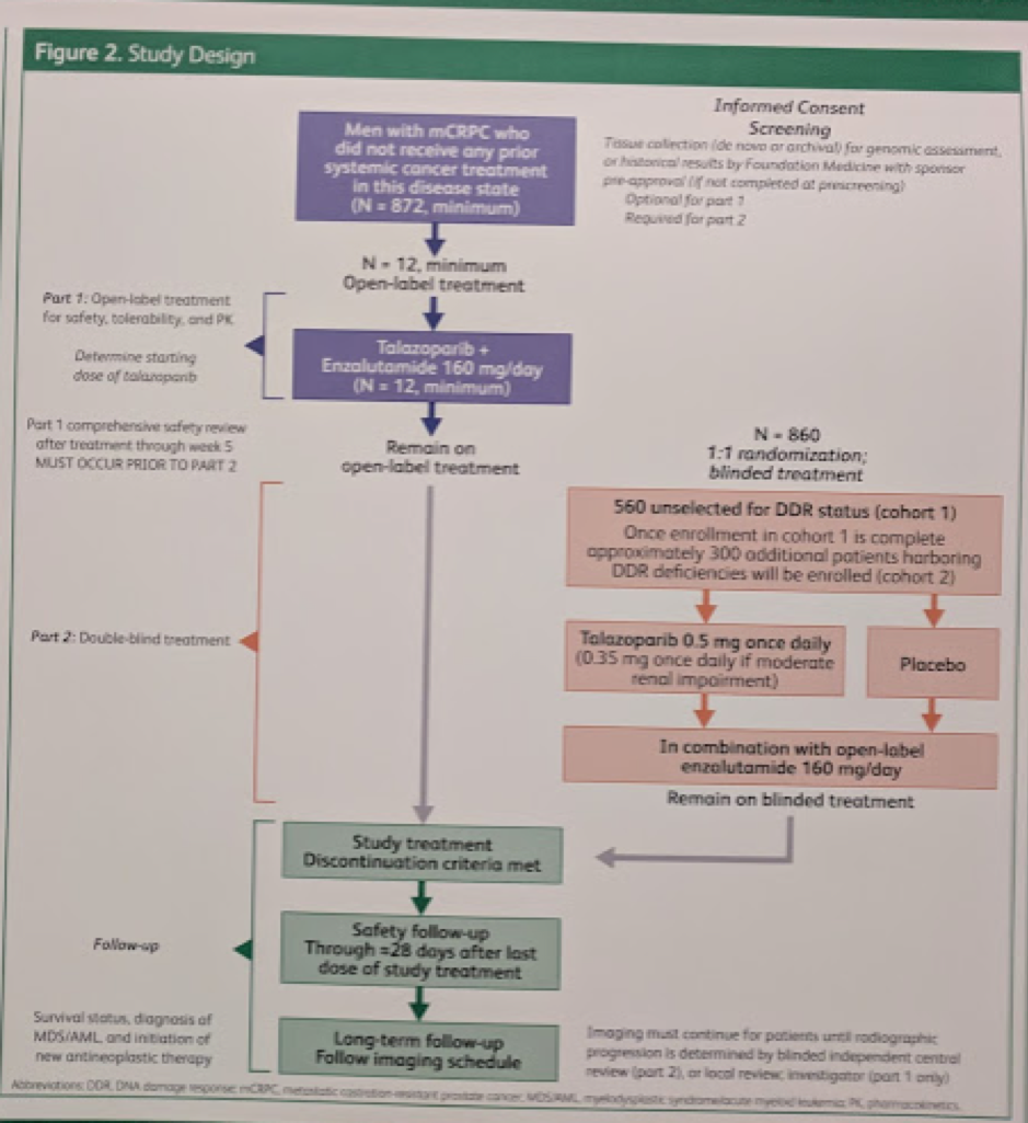 ASCO GU 2019: TALAPRO-2: A Two-Part, Placebo-Controlled Phase III Study ...
