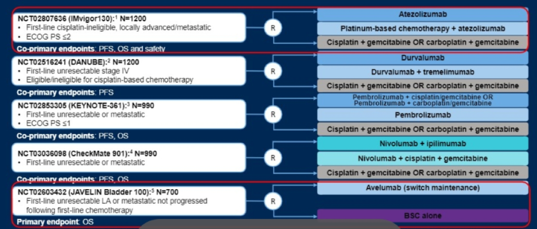 ASCO GU 2020: New Standards in First-Line Therapy for Advanced Disease