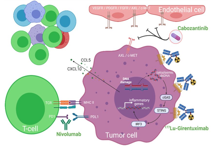 ASCO GU 2023: STARLITE 1: Phase 1b/2 Study of Combination 177Lu ...