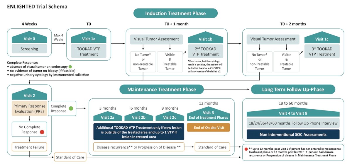 ASCO 2023: ENLIGHTED: A Phase 3 Multicenter Study to Evaluate the ...