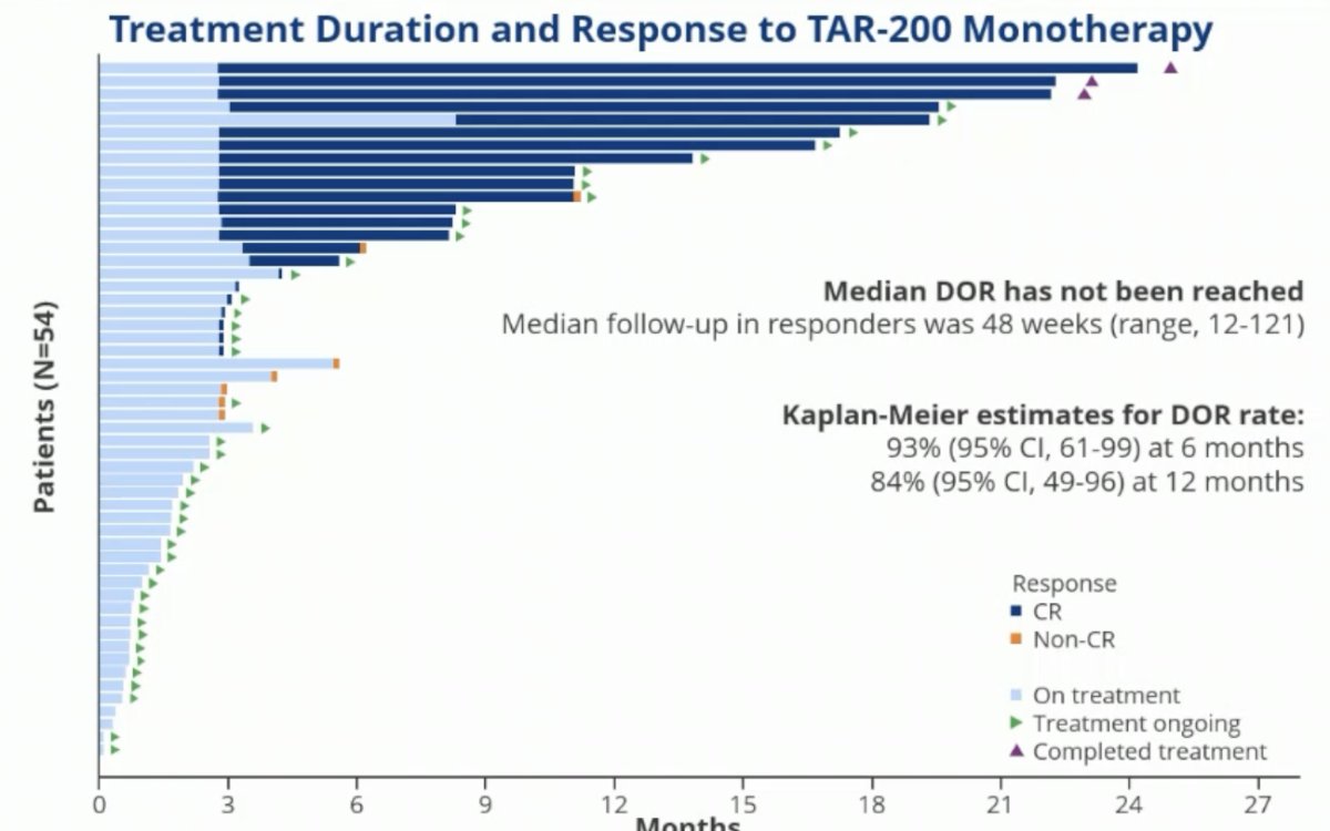 ESMO 2023: SunRISe-1: TAR-200 Monotherapy in Patients With BCG ...