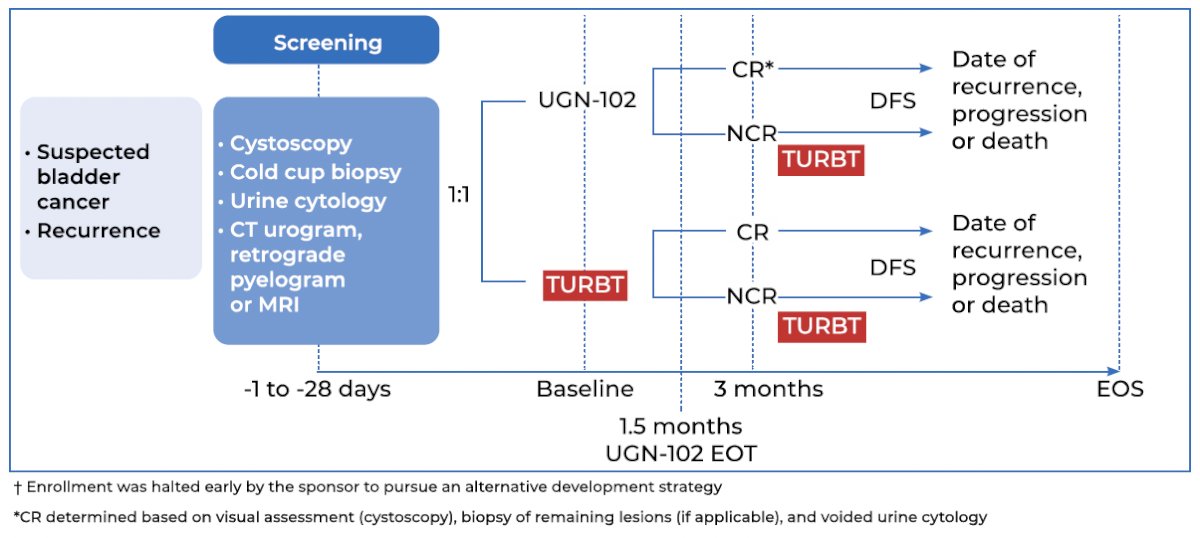 SUO 2023: Treatment of Low-grade, Intermediate-risk Non-muscle Invasive ...