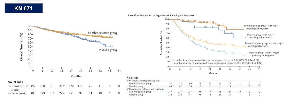 ASCO GU 2024: Lessons Learned: What Can Other Disease Sites Teach Us ...