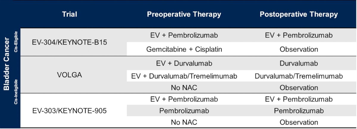 ASCO GU 2024: Lessons Learned: What Can Other Disease Sites Teach Us ...