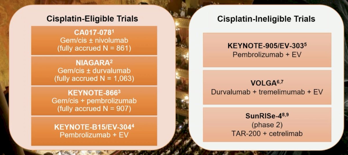 EAU 2024: State-of-the-Art Lecture: New Standard Treatment for ...