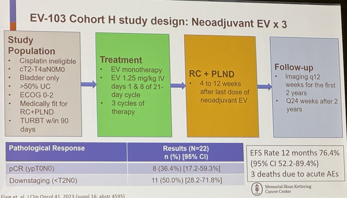 AUA 2024: How to Incorporate Enfortumab With or Without Pembrolizumab ...
