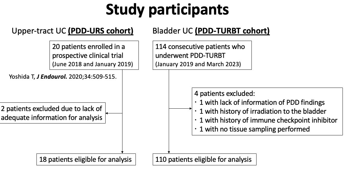 AUA 2024: Diagnostic Performance of Photodynamic Diagnosis with Oral 5 ...