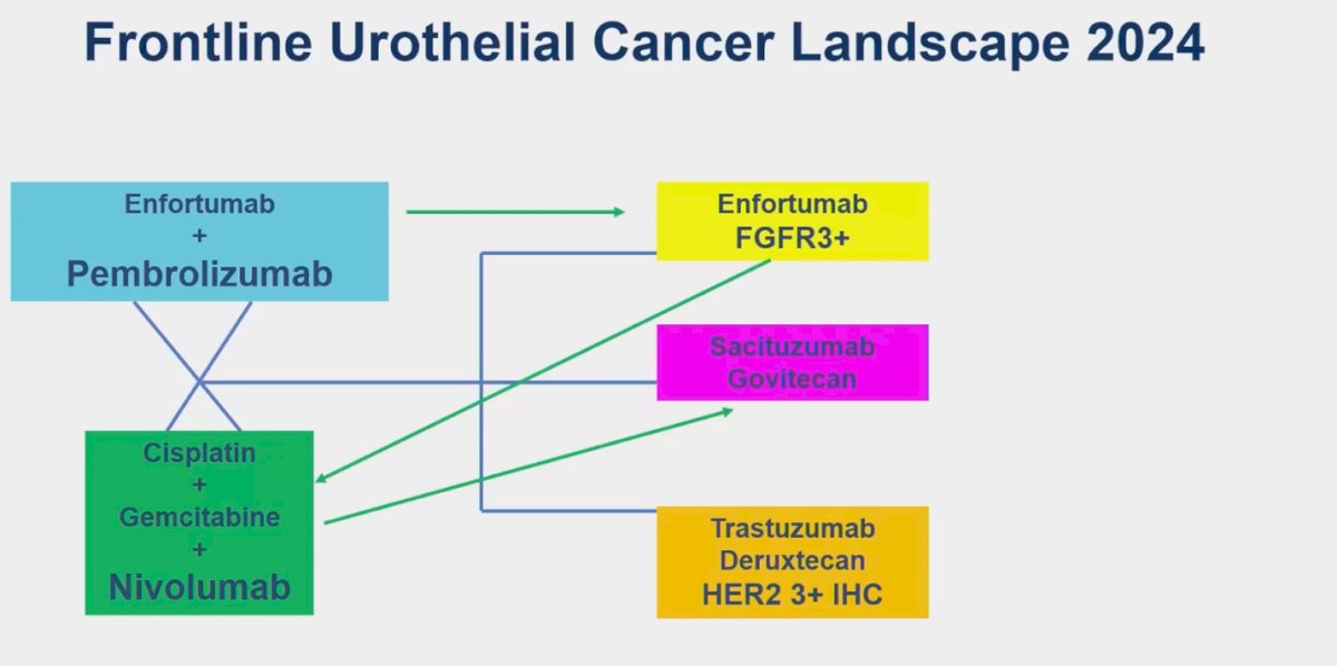 ASCO 2024: What Is Variant Histology Urothelial Cancer and What Are the ...