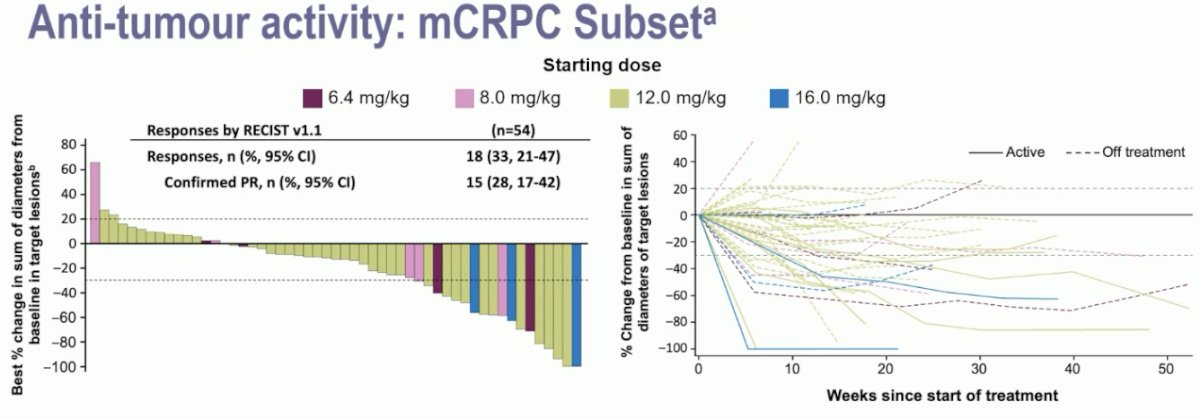 ESMO 2024: B7-H3 as Therapeutic Target for Prostate Cancer