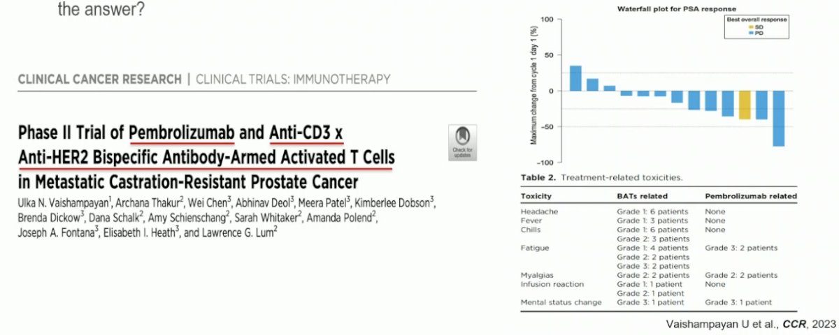 ESMO 2024: T Cell Engagers in Prostate Cancer