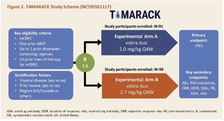 ESMO 2024: TAMARACK: Randomized Phase 2 Trial of the B7-H3 Targeting ...