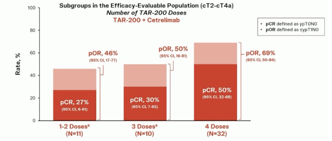 ESMO 2024: Scientific Congress Highlights: Genitourinary Tumors, Non ...