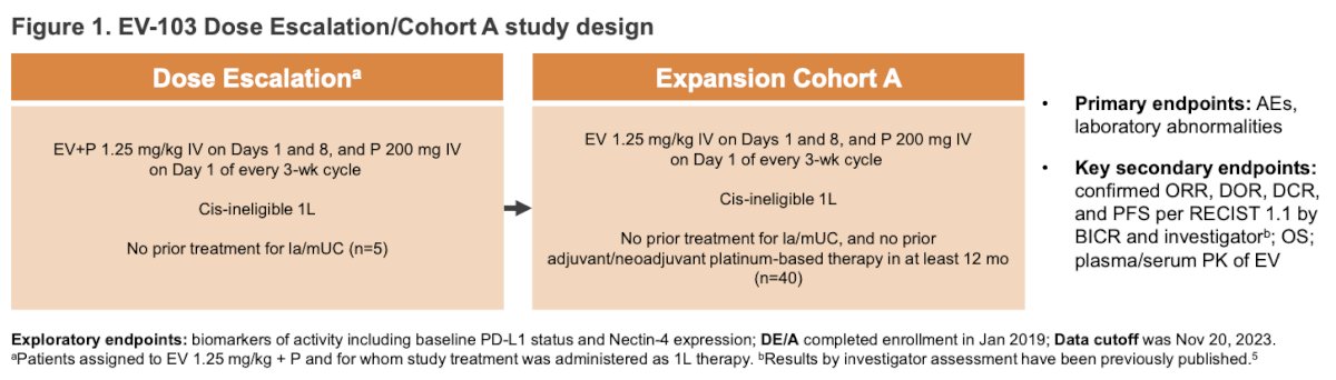 ESMO 2024: Study EV-103 Dose Escalation/Cohort A: 5y Follow-Up Of First ...