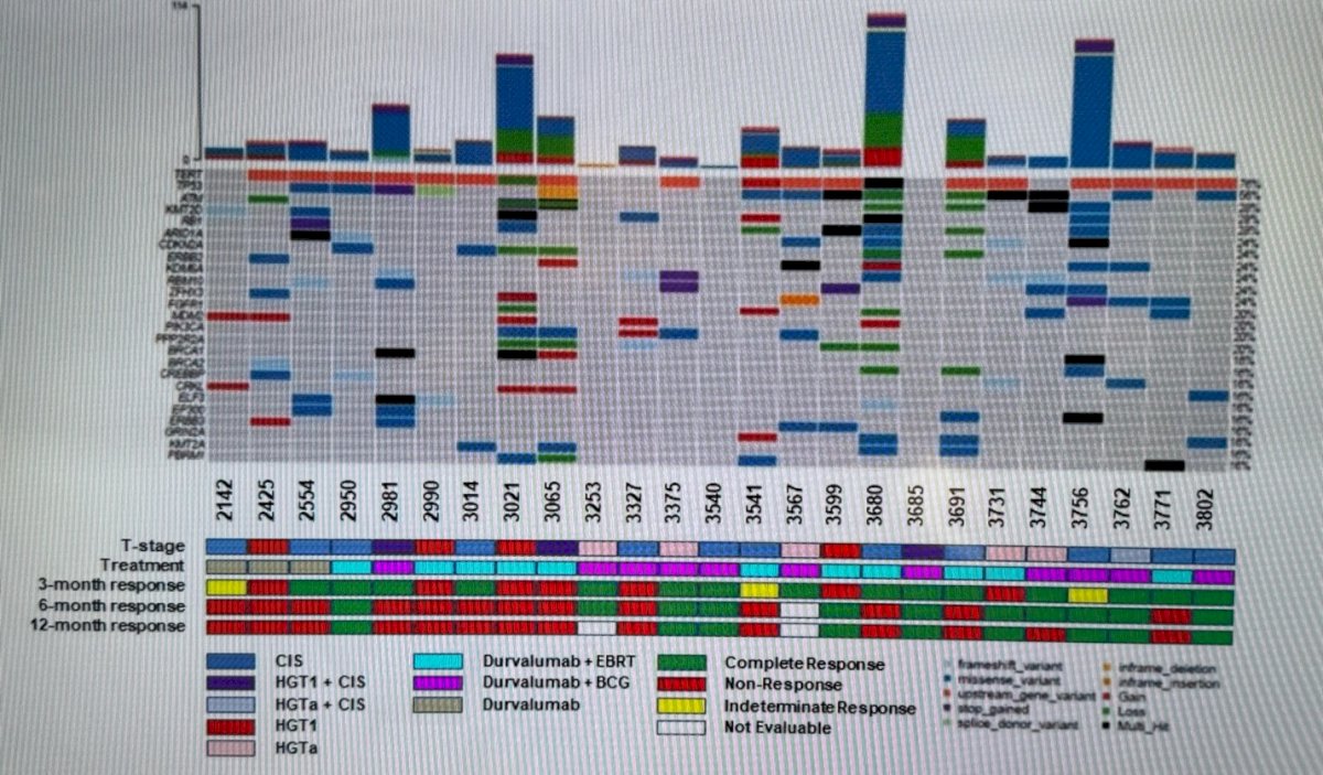 SUO 2024: Urine Tumor DNA Analysis in BCG-Unresponsive Non-Muscle ...