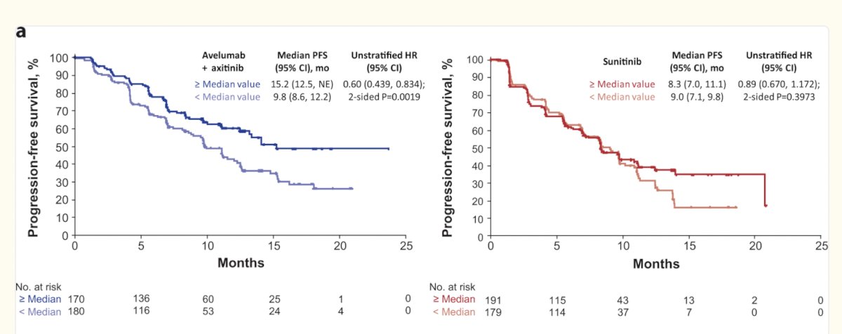 SUO 2024: Biomarkers and Clinical Predictors in RCC