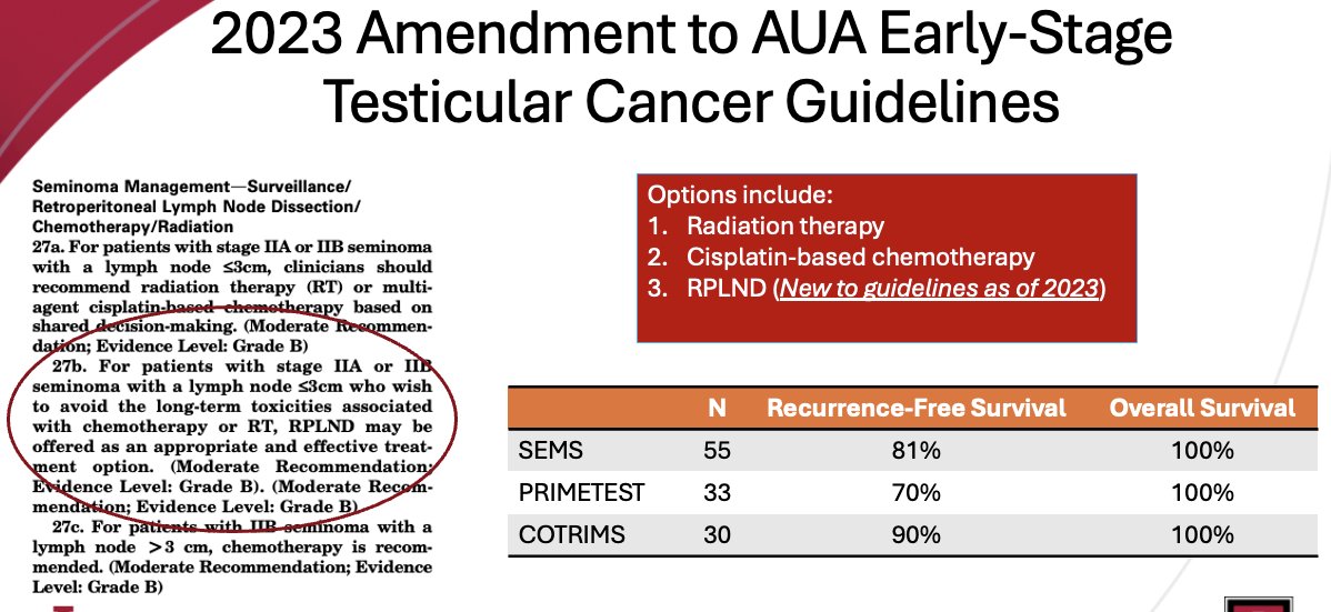 SUO 2024: Strategies for RPLND in Metastatic Testicular Seminoma