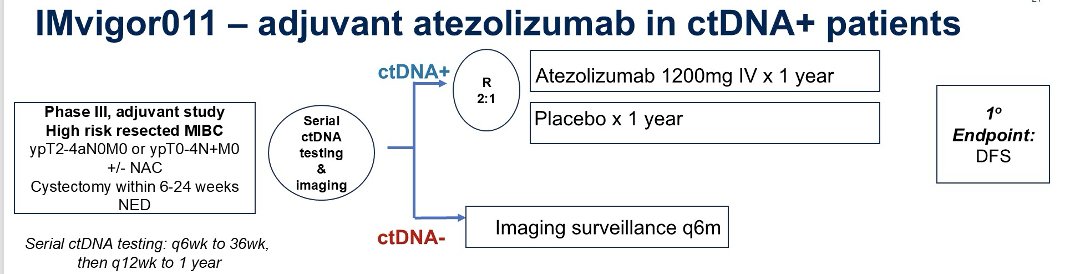 ASCO GU 2025: Potential Impact of ctDNA on Perioperative Management of ...