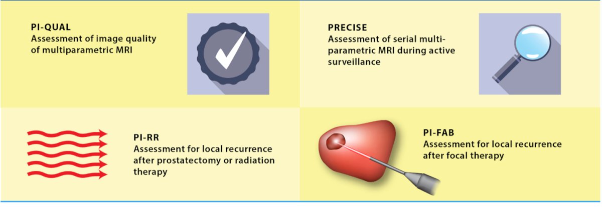 EAU 2025: State-of-the-Art Lecture Imaging as a Biomarker