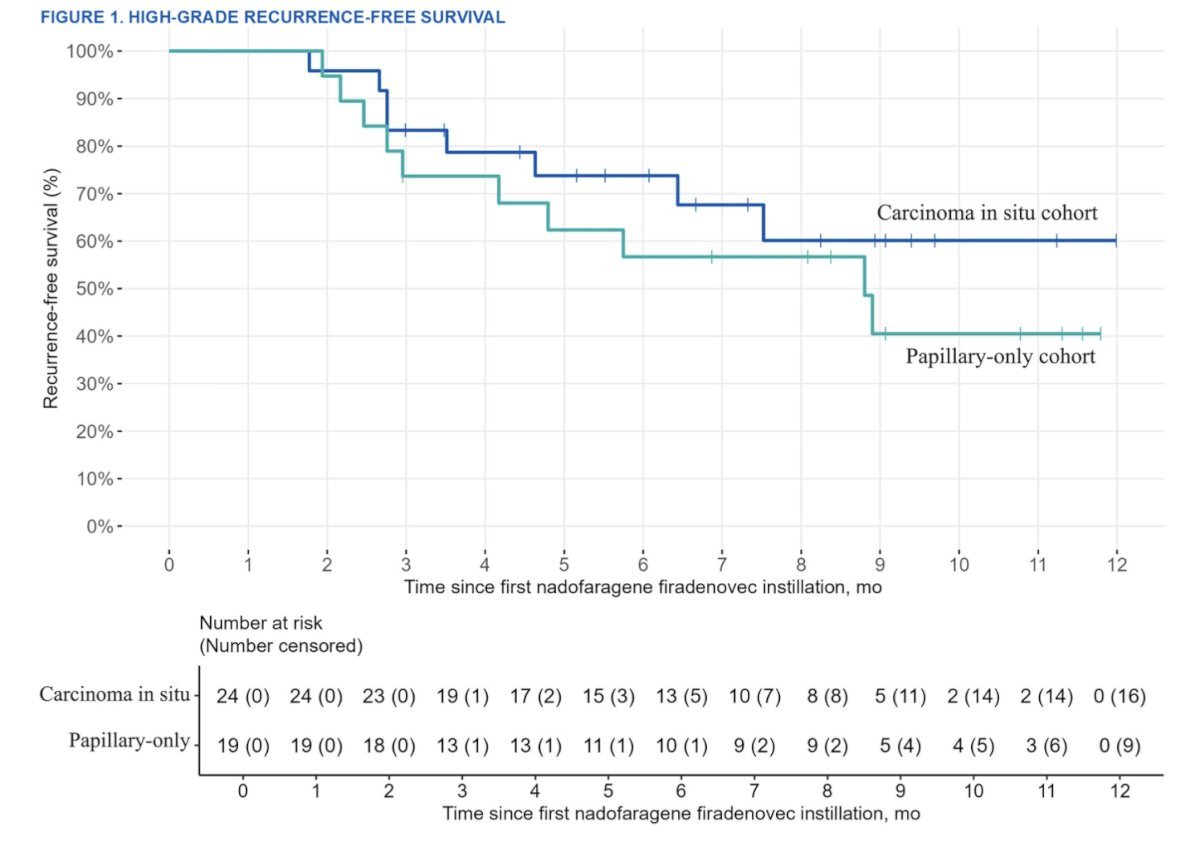 EAU 2025: Intravesical Drug Delivery: Devices Versus Vectors - What Is ...