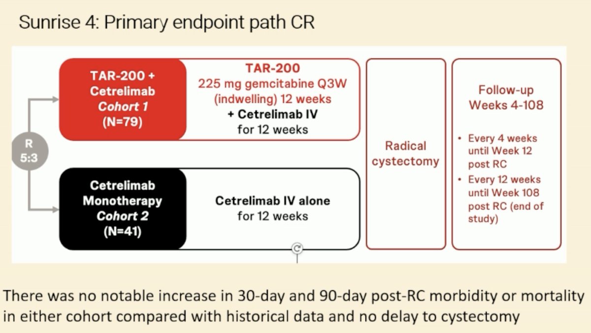 EAU 2025: State-of-the-Art Lecture: TAR, a Novel Intravesical Drug ...