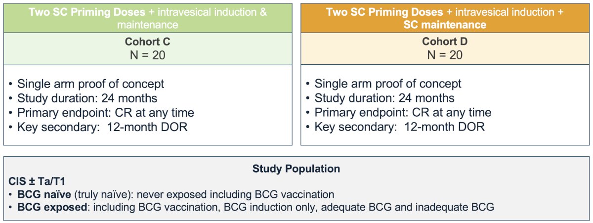 AUA 2025: Advanced-2: A Phase 2 Open-Label Study to Evaluate the Safety ...