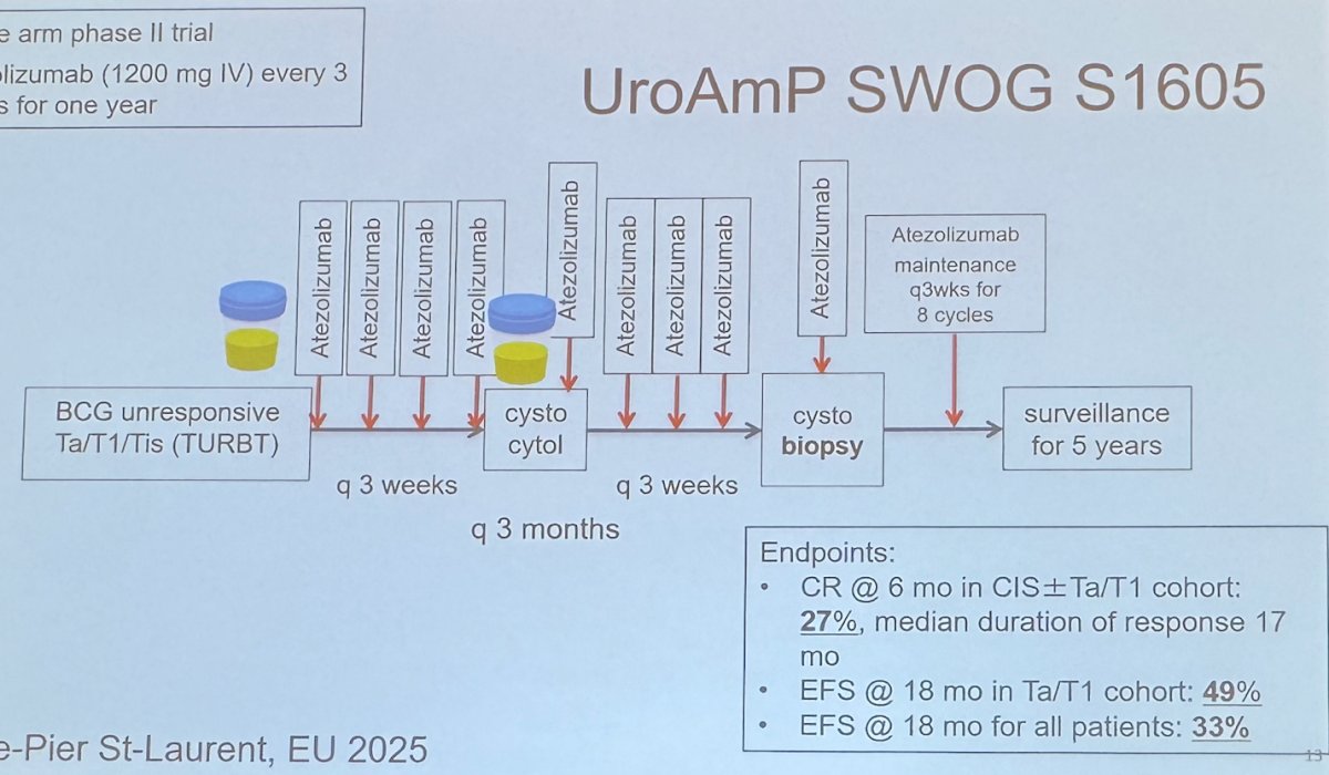 AUA 2025: State-of-the-Art Lecture: Urothelial Markers