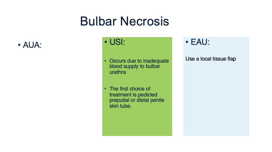AUA 2025: Crossfire: Controversies in Urology: Battle of the Guidelines ...