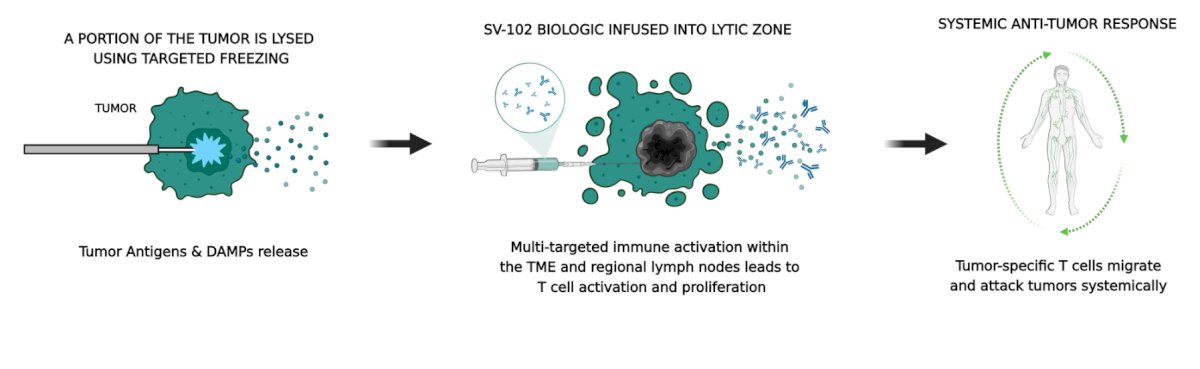 ASCO 2025: Clinical Responses to SYNC-T Therapy: In Situ Personalized ...