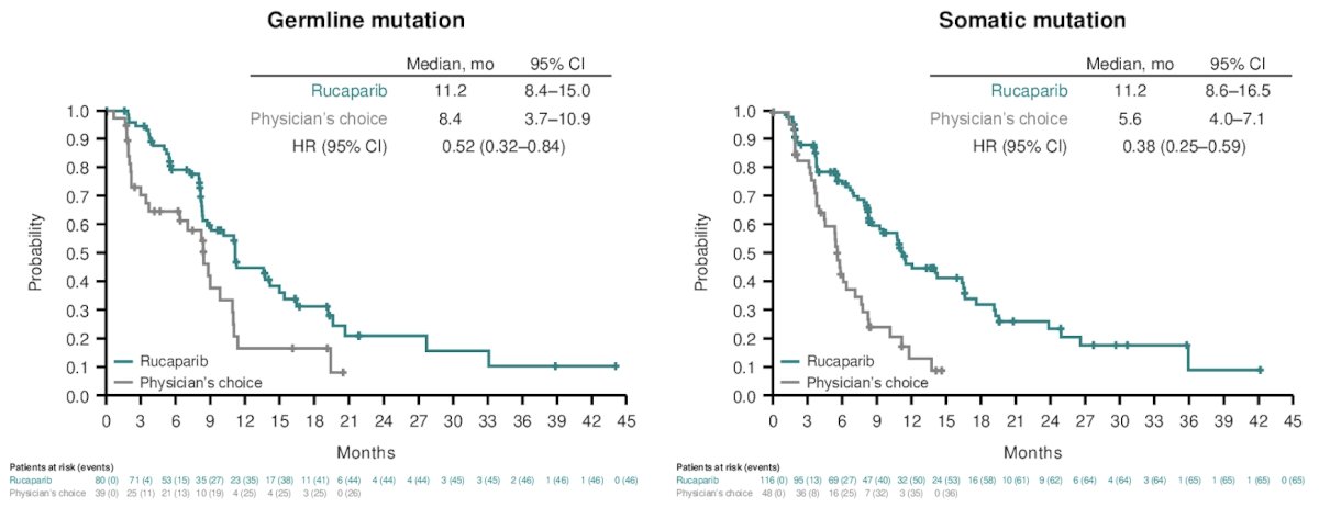 ASCO 2025: Impact of Germline Versus Somatic BRCA Mutation Status on ...