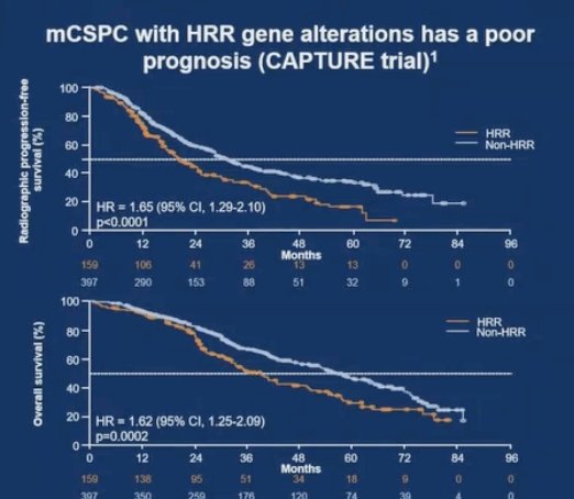 ASCO 2025: Phase 3 AMPLITUDE Trial: Niraparib and Abiraterone Acetate ...