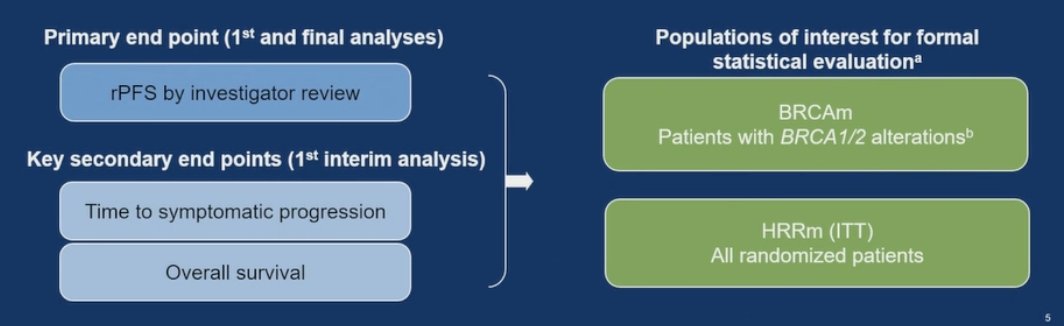 ASCO 2025: Phase 3 AMPLITUDE Trial: Niraparib and Abiraterone Acetate ...