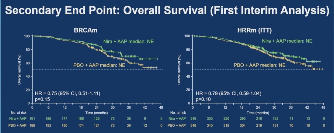 ASCO 2025: Phase 3 AMPLITUDE Trial: Niraparib and Abiraterone Acetate ...