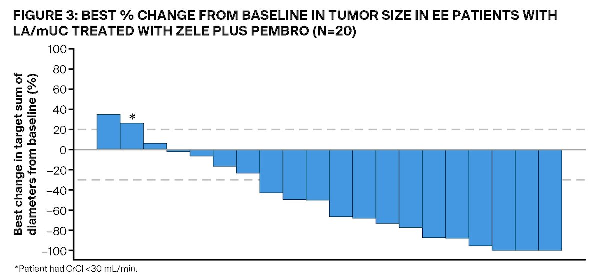 ASCO 2025: Phase 1/2 Duravelo-1 Study: Preliminary Results of Nectin-4 ...
