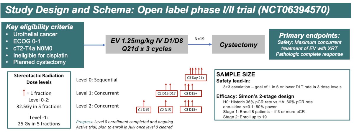 ASCO 2025: Trials-in-Progress – Neoadjuvant Stereotactic Radiotherapy ...