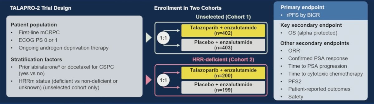 ASCO 2025: Exploratory Analyses of HRR Alterations by Gene Subgroup ...