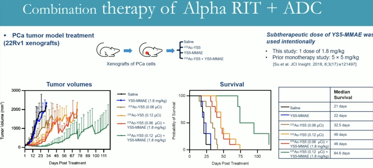 SNMMI 2025: A Combination of a CD46-Targeted Antibody-Drug Conjugate ...