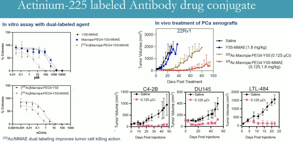 SNMMI 2025: A Combination of a CD46-Targeted Antibody-Drug Conjugate ...
