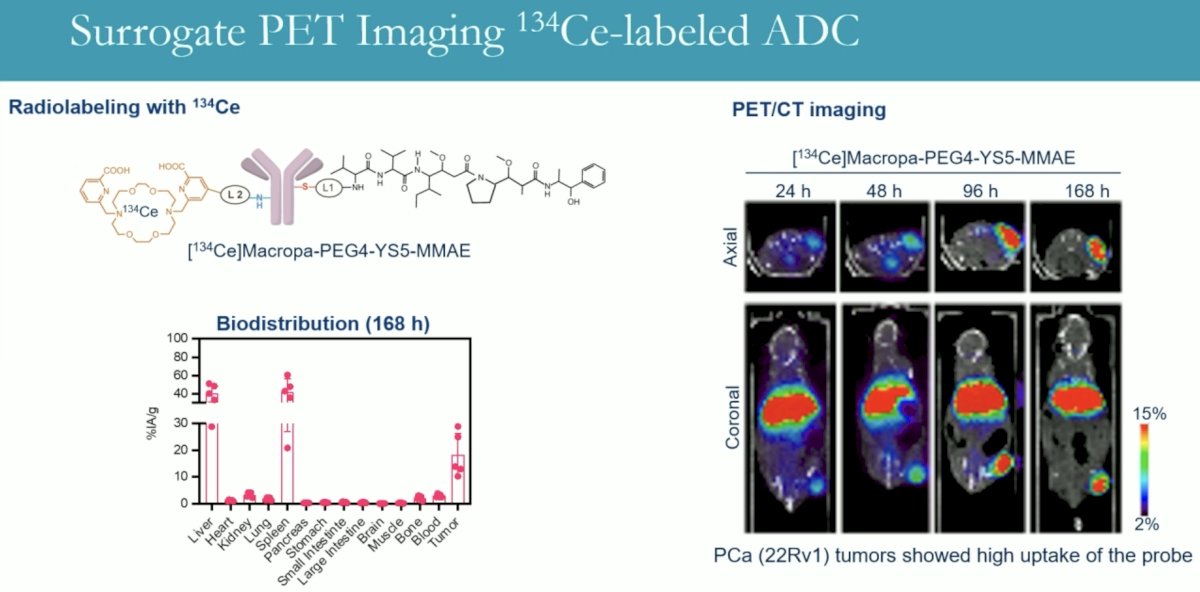 SNMMI 2025: A Combination of a CD46-Targeted Antibody-Drug Conjugate ...