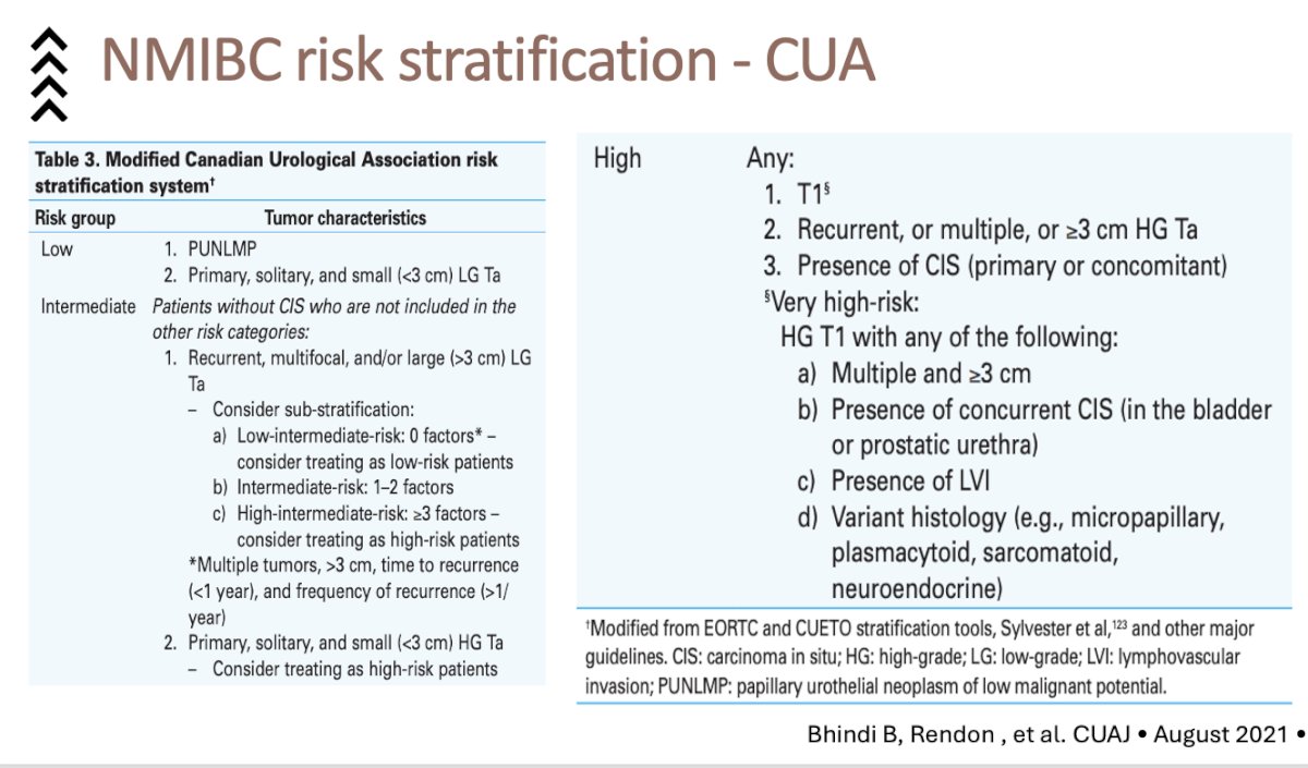 SCU 2025: Stage-Based Management of Non-Muscle Invasive Bladder Cancer