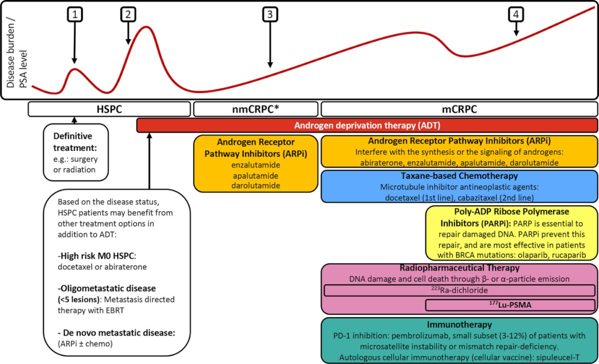 SCU 2025: What is the Future of PSMA Theranostics?
