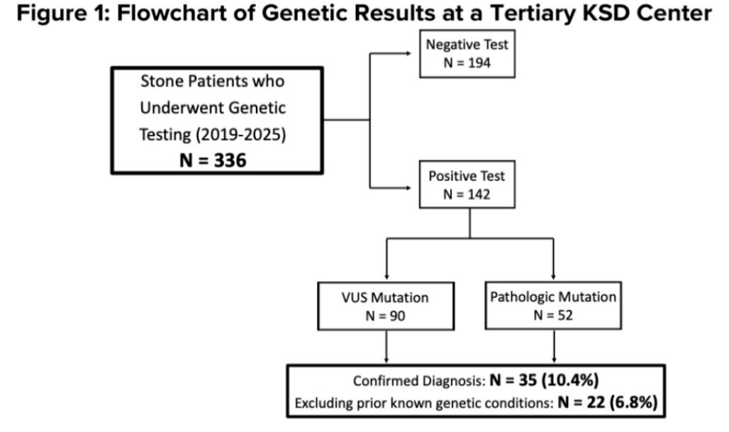 WCET 2025: Analysis of Genetic Testing in Kidney Stone Disease: A ...