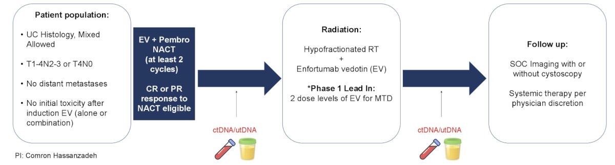 ASTRO 2025: Trials in Progress: CONSOLIDATE – Concurrent Radiotherapy ...