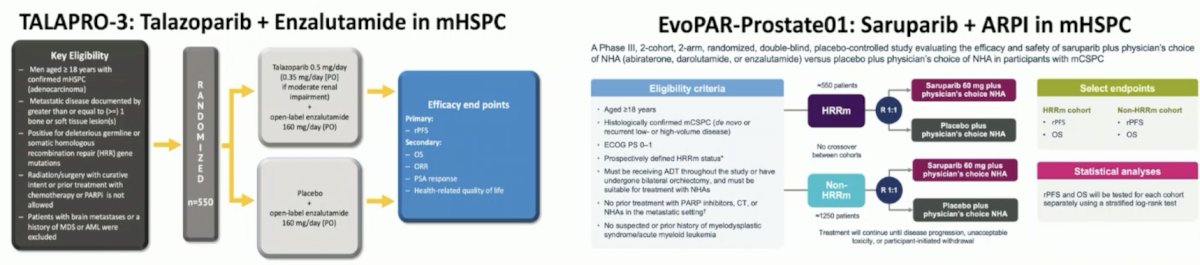 ESMO 2025: Exploiting Homologous Recombination Alteration Across the ...