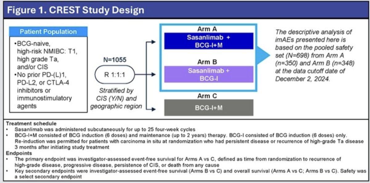 ESMO 2025: Immune-Mediated Adverse Events (imAEs) Associated with ...