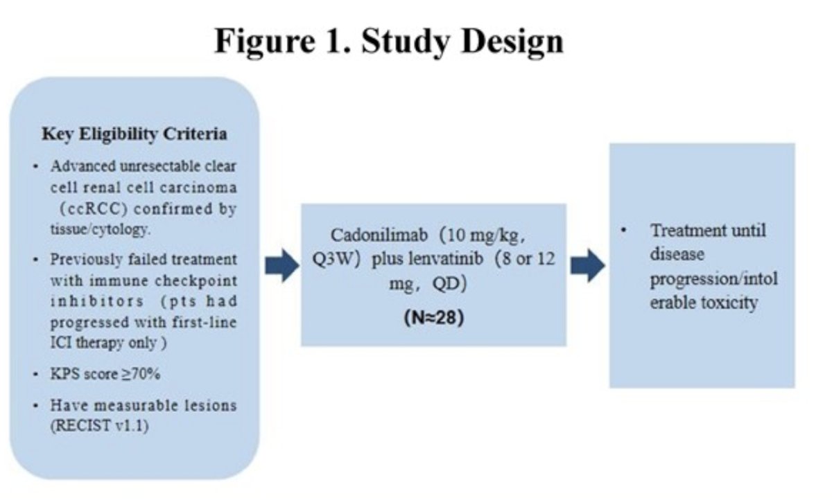 ESMO 2025: CLEAR-IT: Preliminary Results from a Phase II Study ...