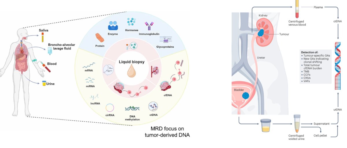 SUO 2025: Technical Advances, Challenges, and Future Directions in ...