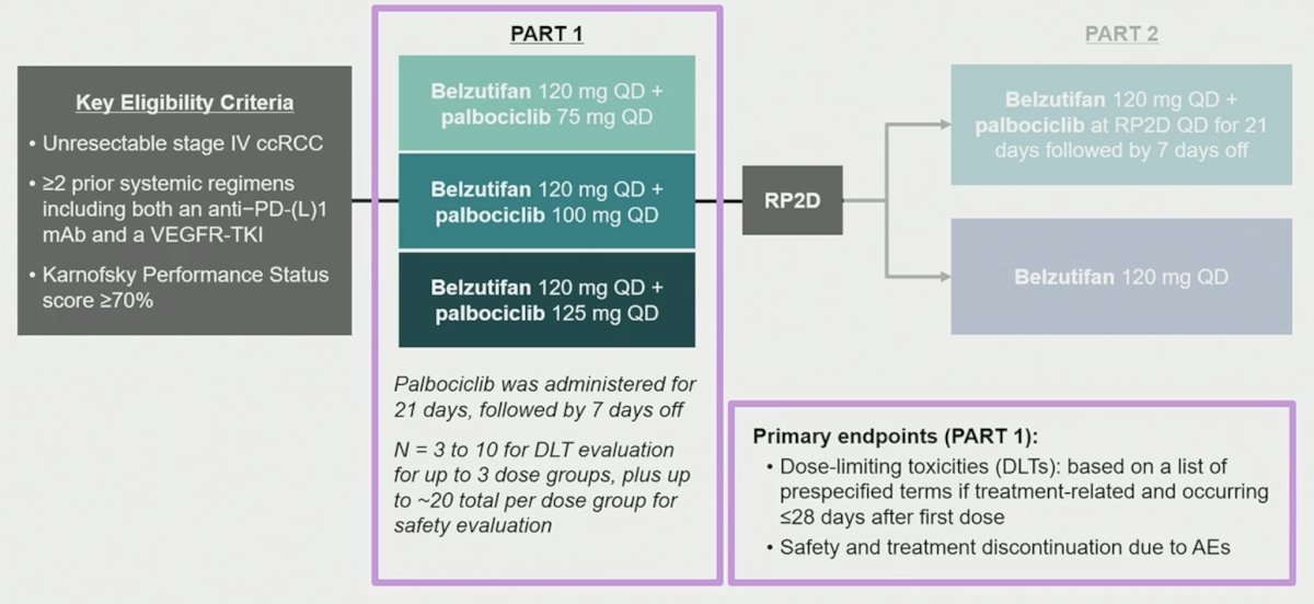 ASCO GU 2026: Ascending Dose Escalation of Belzutifan + Palbociclib for ...