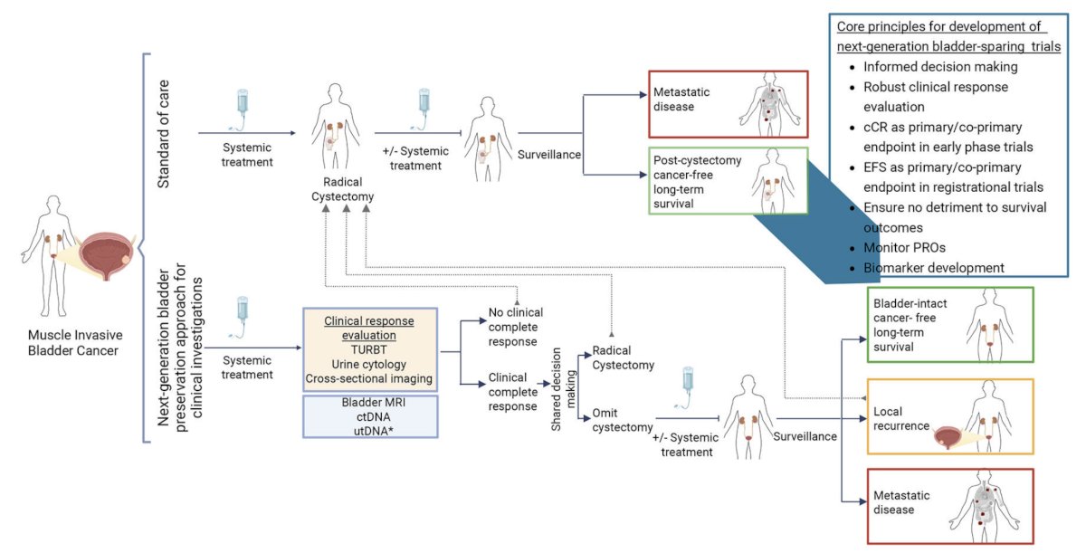 EAU 2026: Discussant: The EV-304 Paradigm Shift