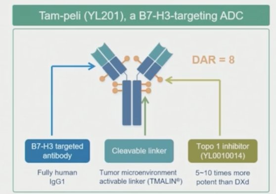 ASCO 2026: Phase 2 Study of YL201, an Anti-B7H3 Antibody-Drug Conjugate ...